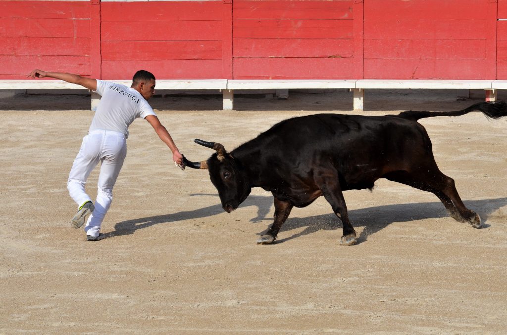 Vidéo. Corrida : la vengeance du Taureau ! 5 personnes blessées au Pérou - Le Mag Jeux High-Tech